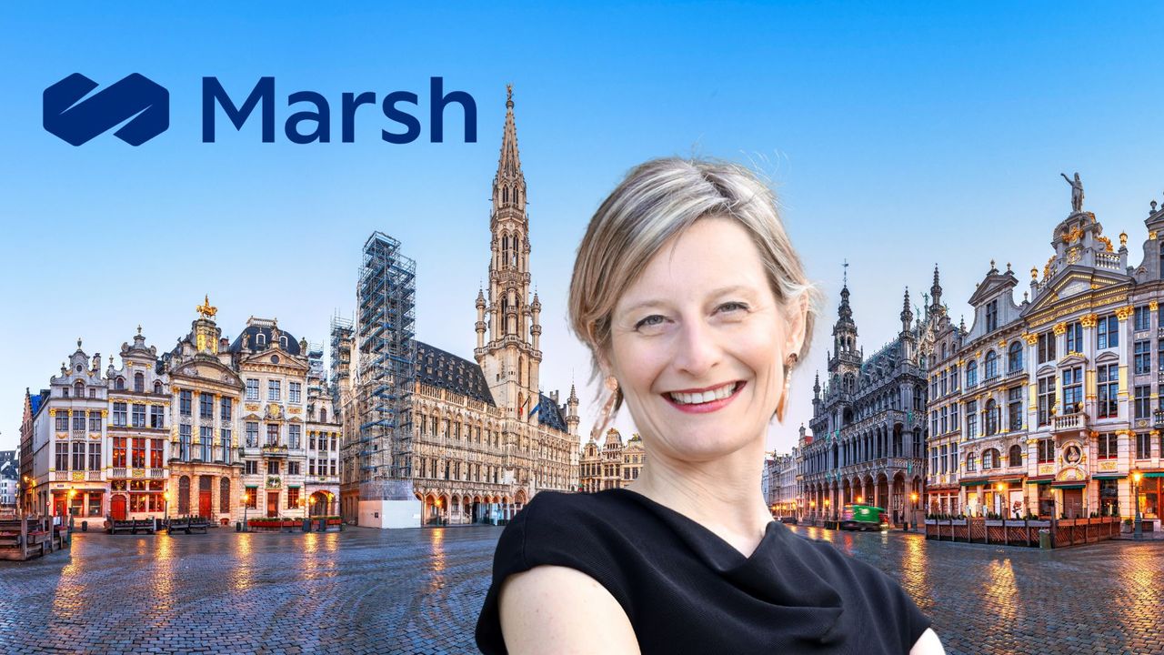 Marsh adds EU policy maven to European risk management team ...